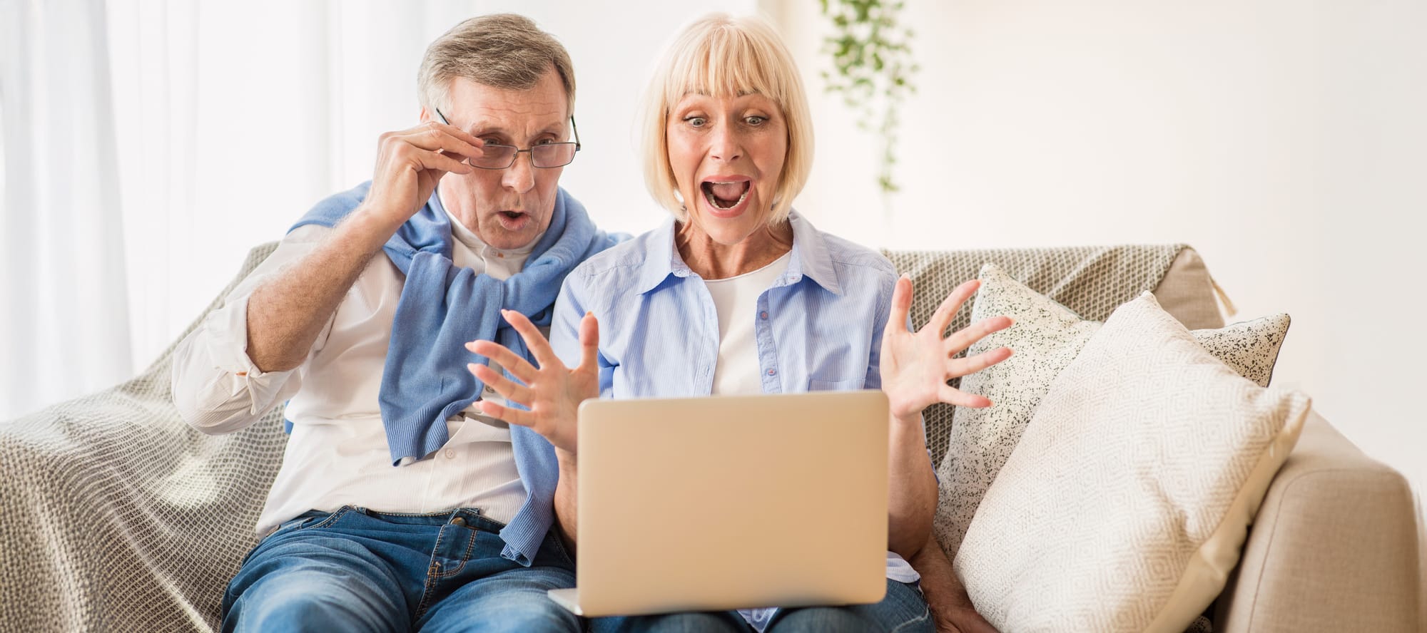 Bidder Guide: How to Participate in Online Auctions | Grafe Auction